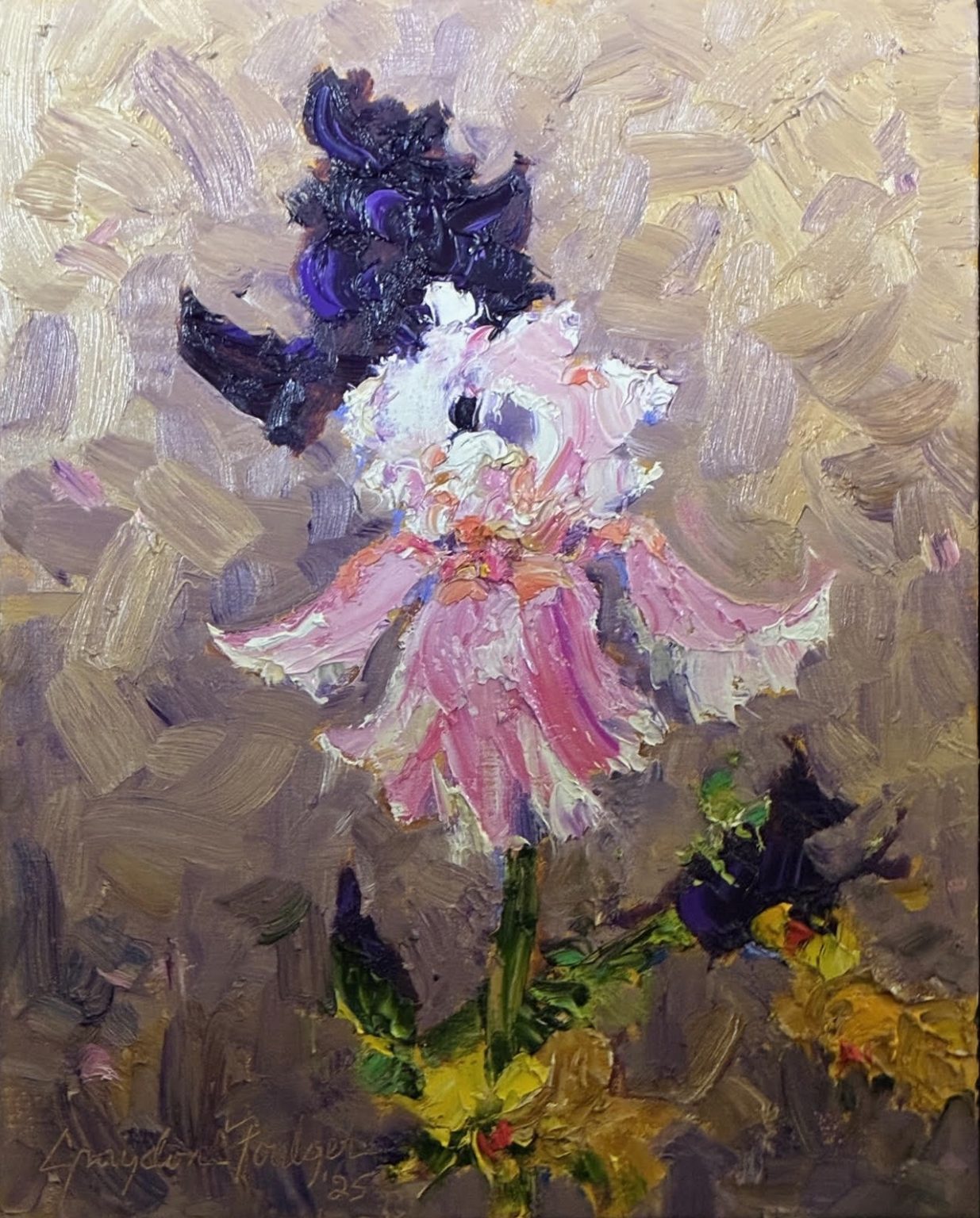 “IRIS PASSION” – BY GRAYDON FOULGER – Acosta Strong Fine Art